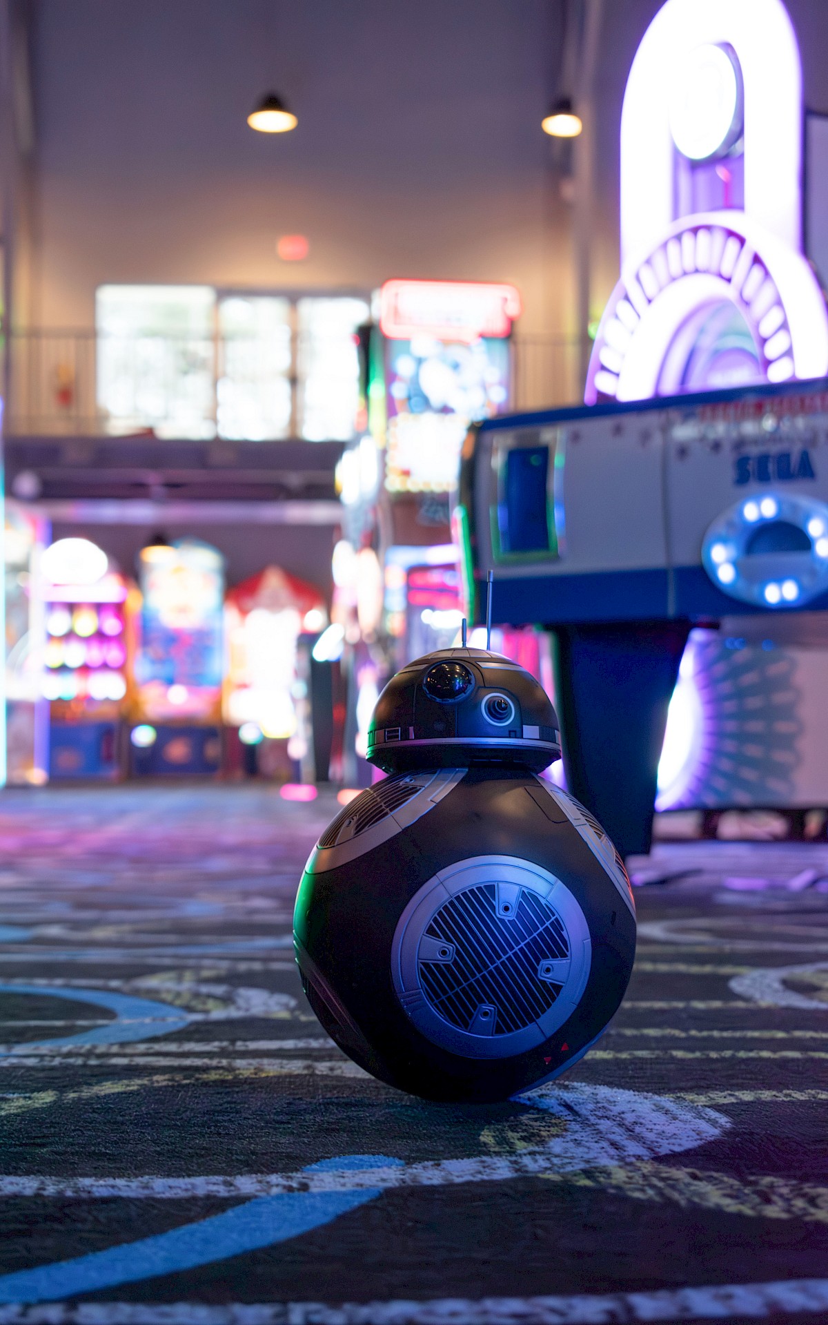 May the Fourth Celebration